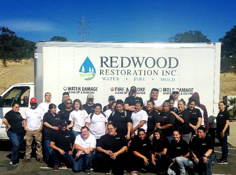 Home - Redwood Restoration